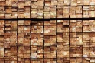 Timber Labels - Barcodes for Business