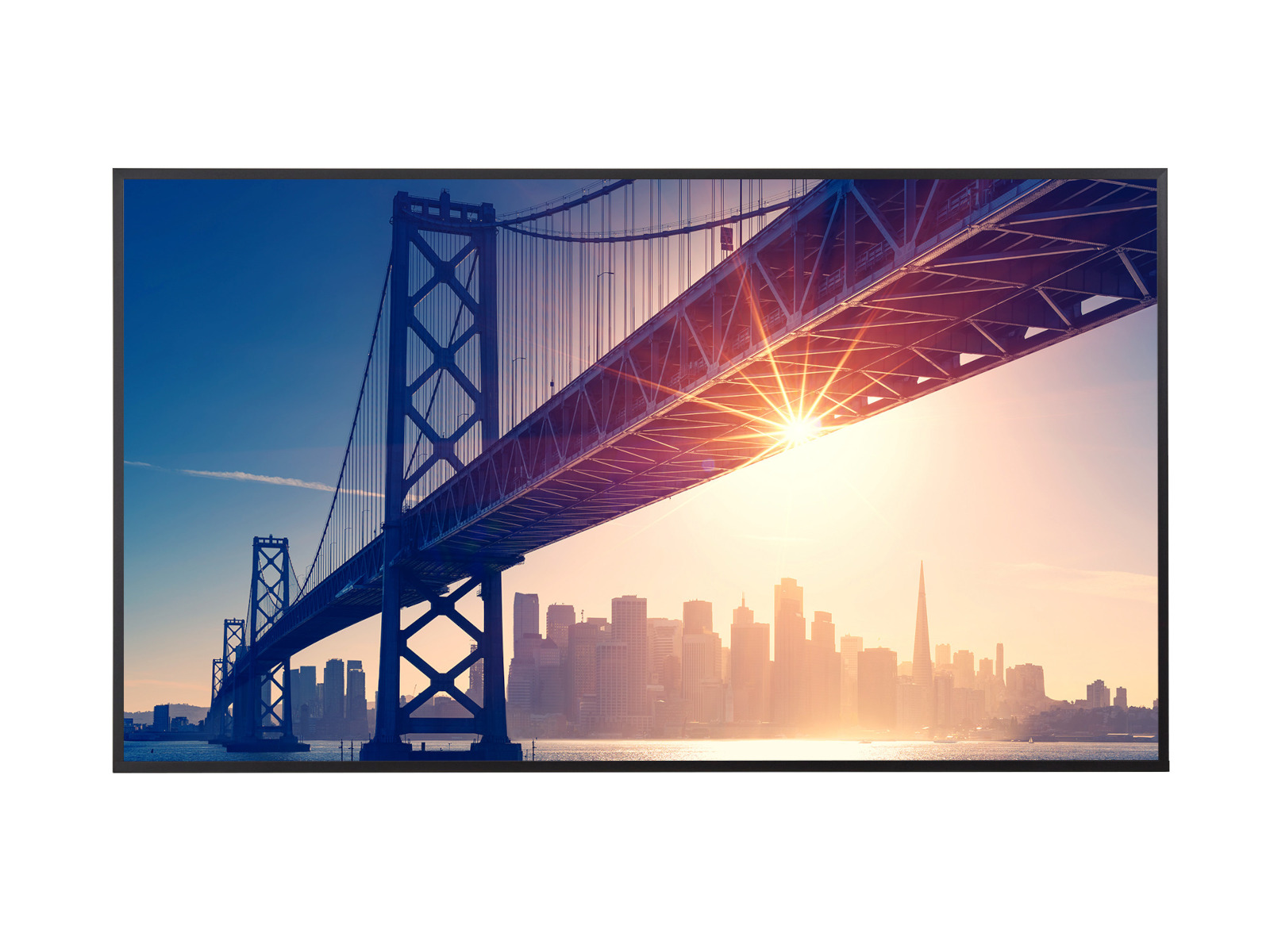 Sharp MultiSync ME752 Large Format Display - Barcodes for Business